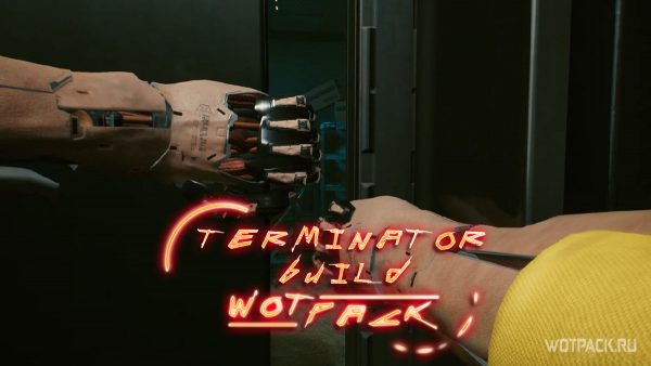 Cyberpunk 2077: Terminator build