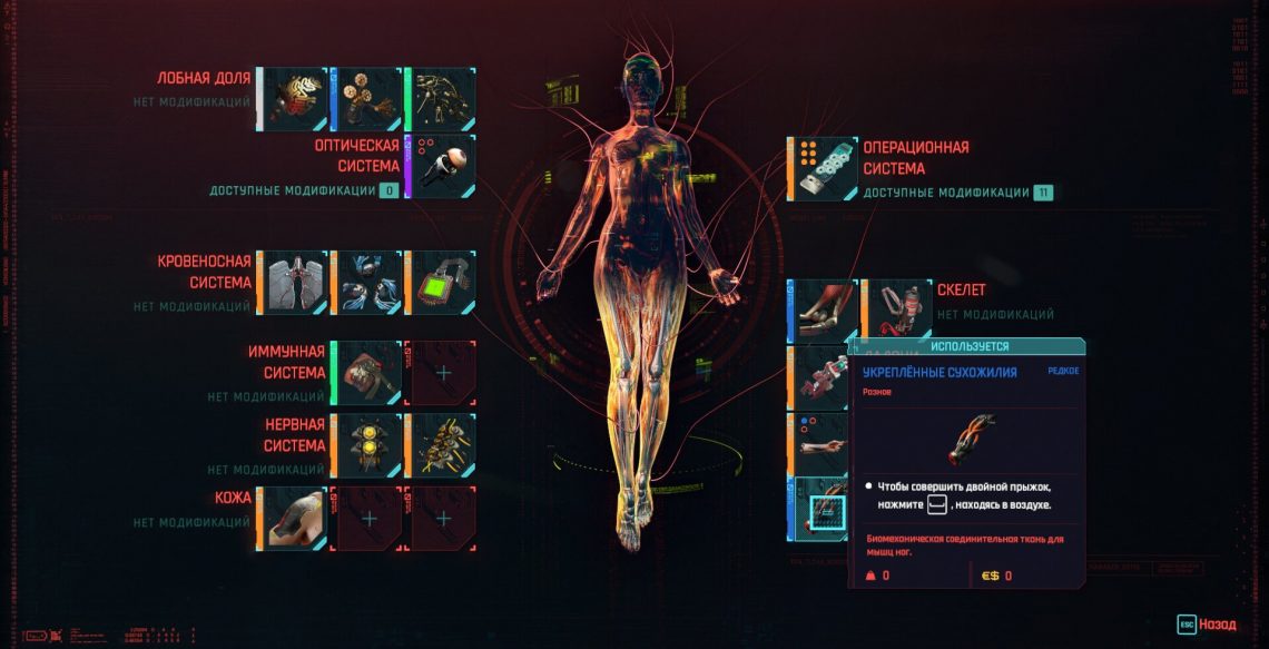 Full list of implants in Cyberpunk 2077