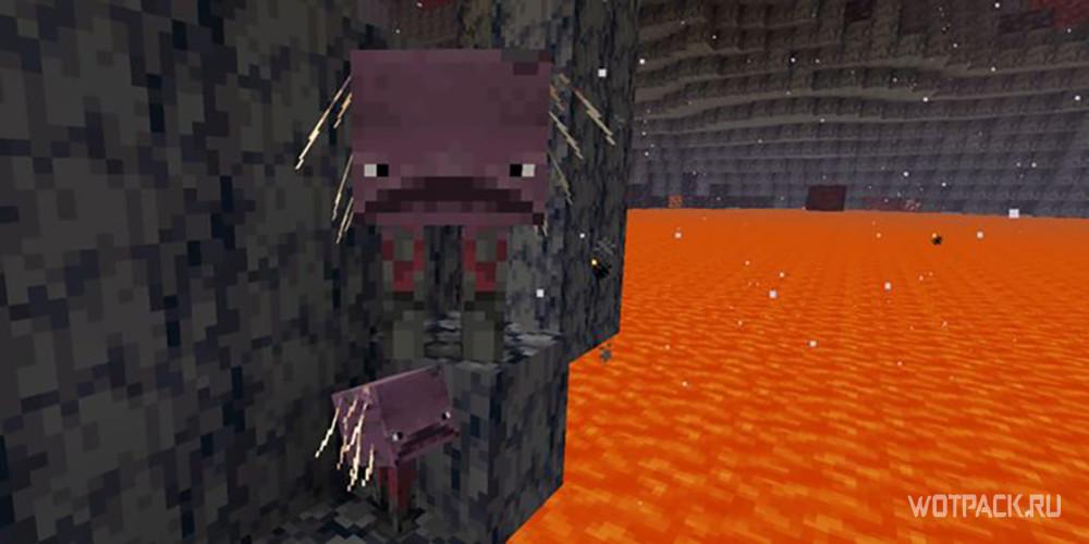 ข้อเท็จจริงที่น่าสนใจ 10 อันดับแรกเกี่ยวกับ Striders ใน Minecraft