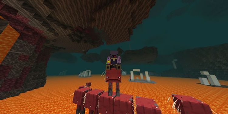 TOP 10 fatti interessanti su Striders in Minecraft