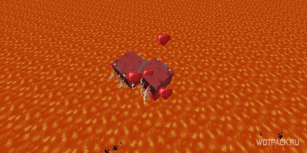 ข้อเท็จจริงที่น่าสนใจ 10 อันดับแรกเกี่ยวกับ Striders ใน Minecraft