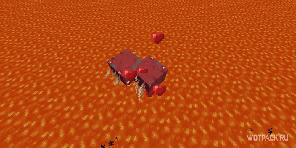 Minecraft 中关于 Striders 的十大有趣事实