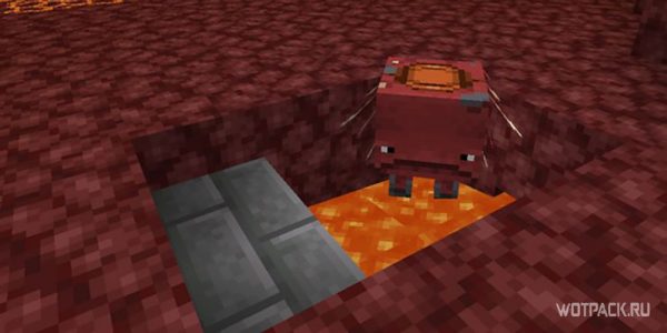 ข้อเท็จจริงที่น่าสนใจ 10 อันดับแรกเกี่ยวกับ Striders ใน Minecraft