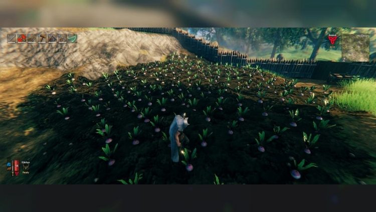 Seeds in Valheim: where to find, how to plant and what they give [guide]