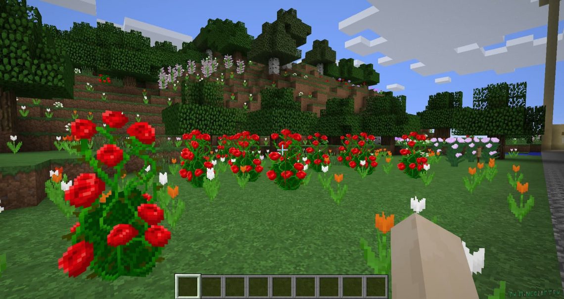 Minecraft 1.12.2 的最佳纹理