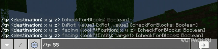 Jak teleportować się w Minecraft Java i Pocket Edition