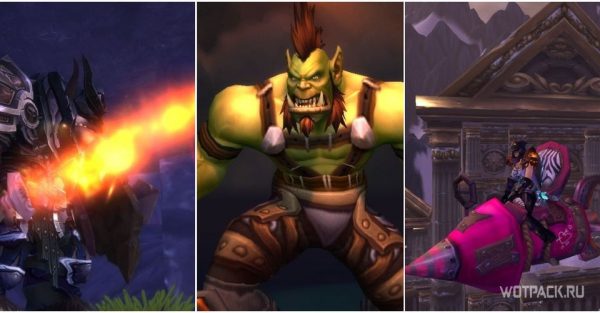 World of Warcraft: Top 10 Rarest Items and How to Get Them