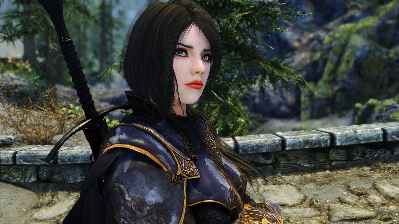 Skyrim: download mods for companions (the best - top 10).