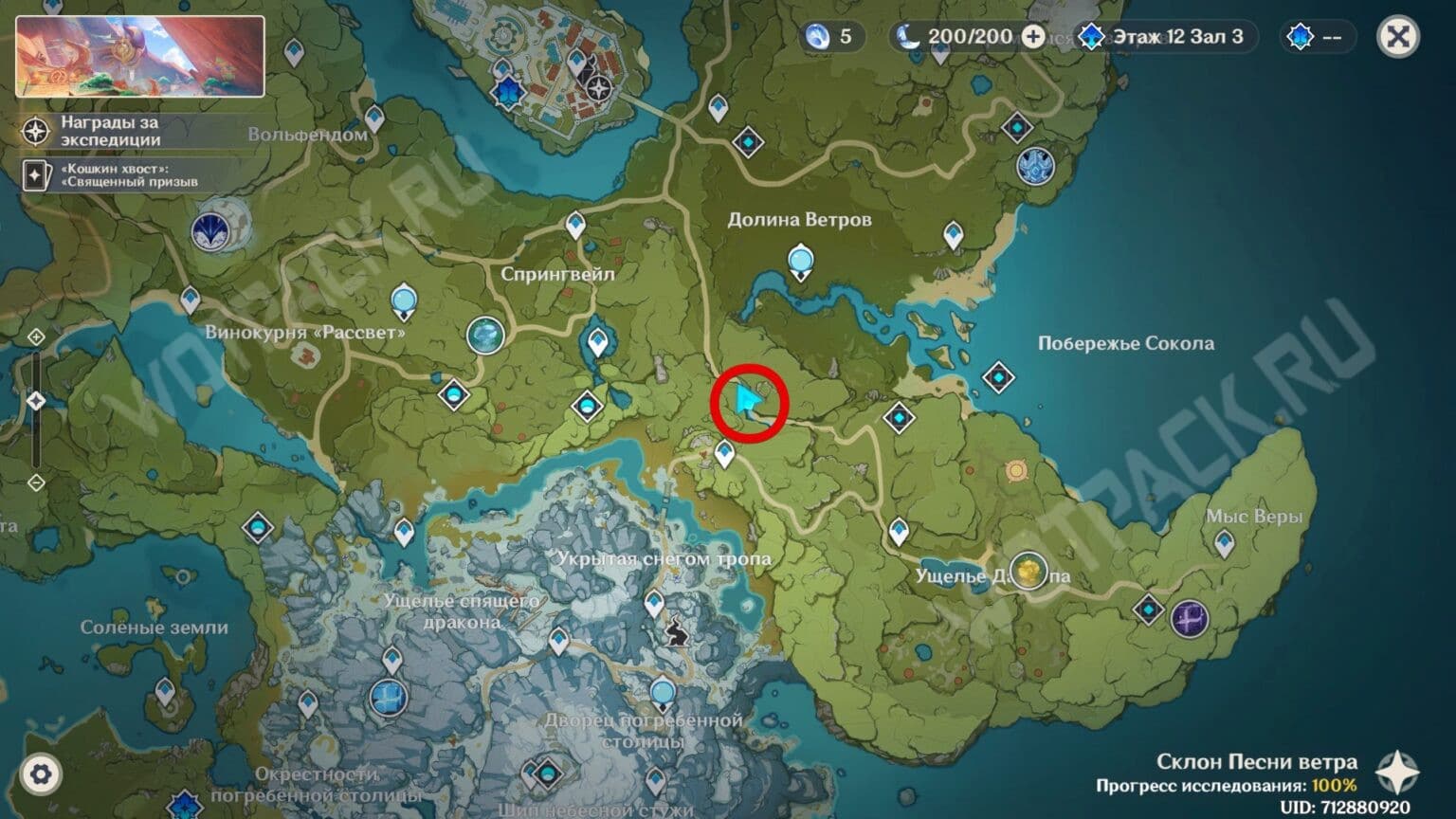 Reliable Helper in Genshin Impact: Perfectionist achievement