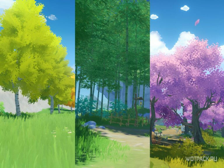 Trees in Genshin Impact - where to find [farming routes]