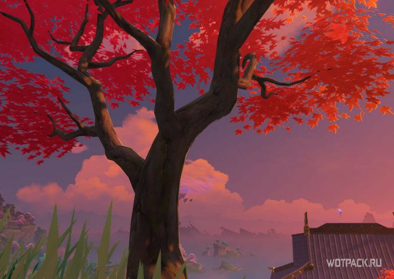 Maple in Genshin Impact – where to find on the map [farm]