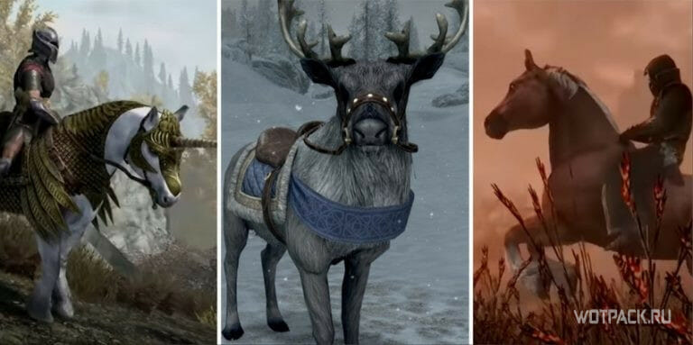 Skyrim: Mounts - where to find and how to tame [Anniversary Edition]