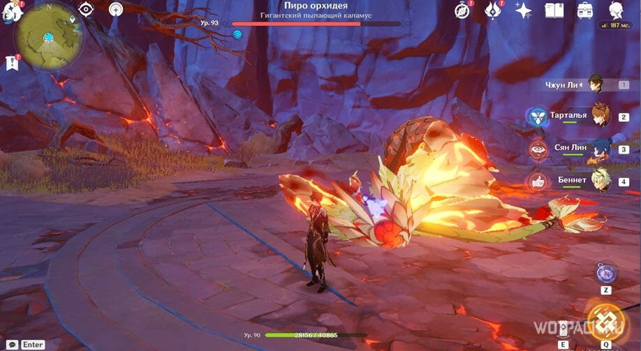 Pyro Regisvine in Genshin Impact - where to find and how to defeat [guide]