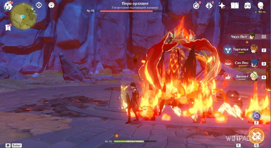 Pyro Regisvine in Genshin Impact - where to find and how to defeat [guide]