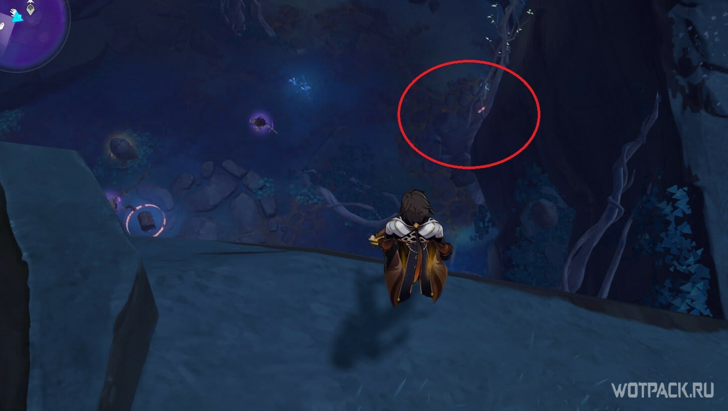 Coral butterflies in Genshin Impact - where to find [guide]