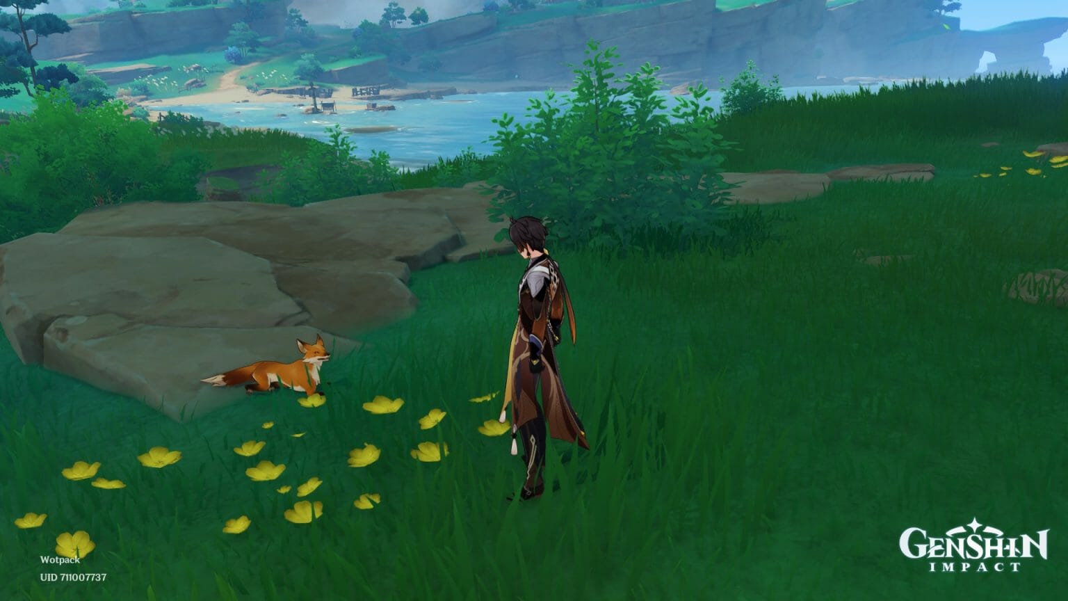 Animais Inazuma exclusivos em Genshin Impact – onde encontrar no mapa ...