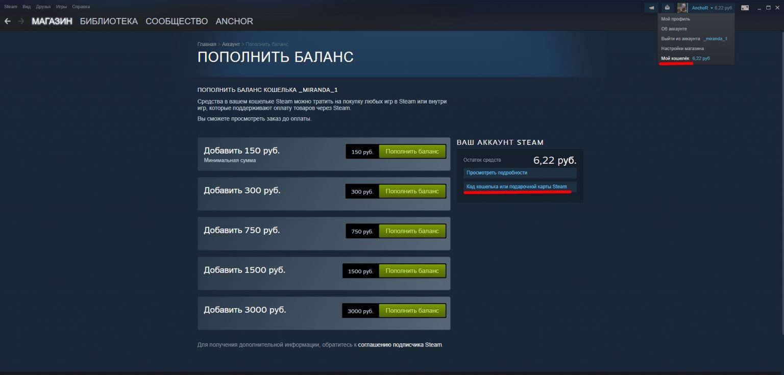 Как купить игру в Steam в России в 2024 году