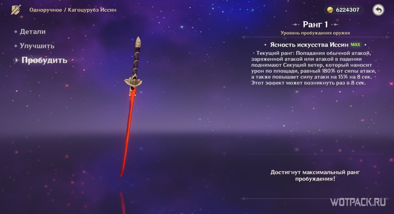 Kagotsurube Isshin in Genshin Impact - who suits and how to get