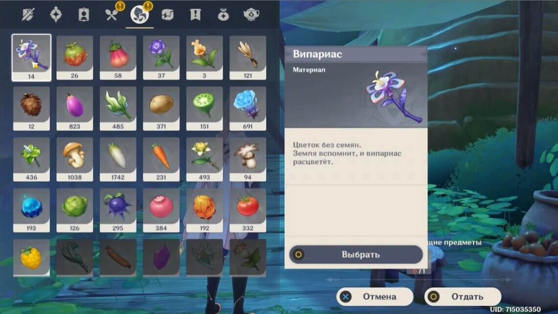 Delicious Riddles in Genshin Impact: Araesha Riddles Answered