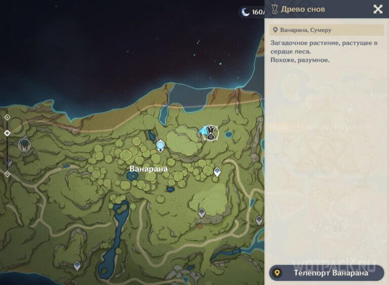 Dream Tree in Genshin Impact: como abrir em Sumeru e todas as recompensas