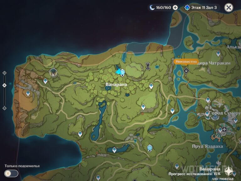 Vanarana in Genshin Impact: how to open and change the state of the ...