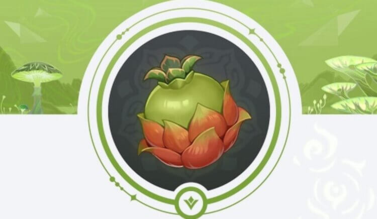 Harra fruit in Genshin Impact – where to find and buy [farming routes]