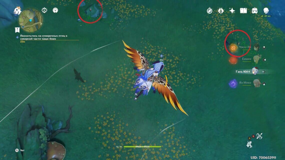 A short encounter with a rare bird in Genshin Impact: how to start and ...