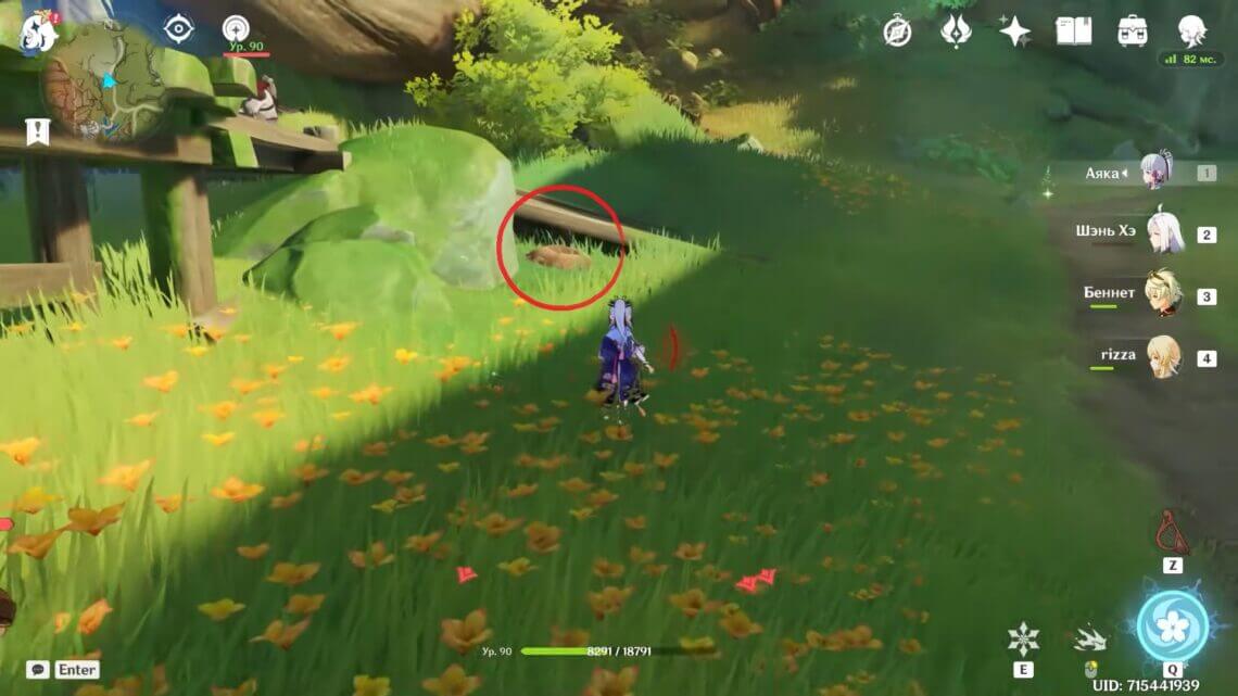 1 mora chests in Genshin Impact: where to find in Sumeru [map]