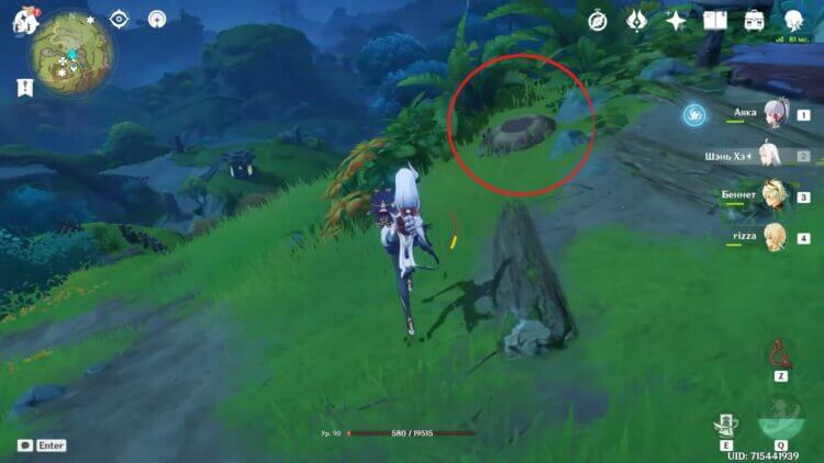 1 mora chests in Genshin Impact: where to find in Sumeru [map]