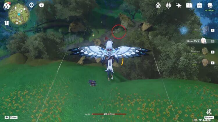 1 mora chests in Genshin Impact: where to find in Sumeru [map]