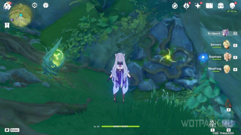 Cave at Pardis Dhyay in Genshin Impact: how to get there and solve puzzles