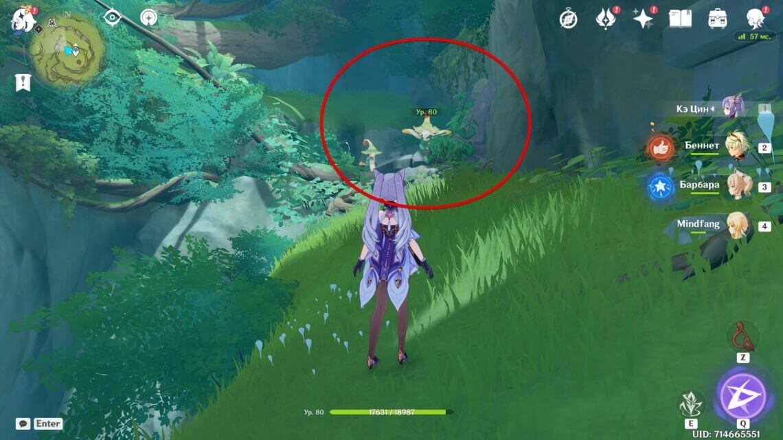 Cave at Pardis Dhyay in Genshin Impact: how to get there and solve puzzles