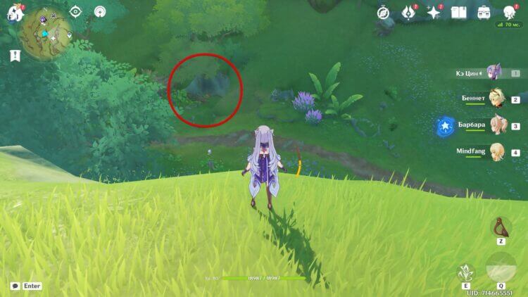Cave at Pardis Dhyay in Genshin Impact: how to get there and solve puzzles