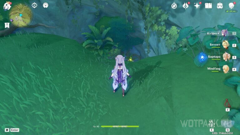 Cave at Pardis Dhyay in Genshin Impact: how to get there and solve puzzles