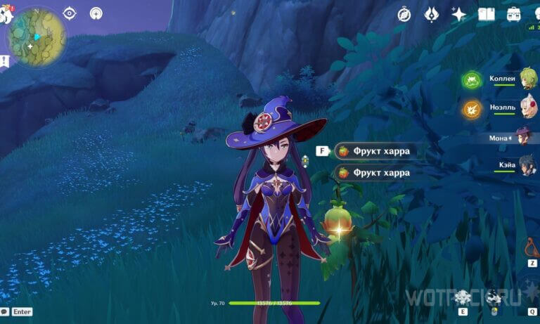 Harra fruit in Genshin Impact – where to find and buy [farming routes]