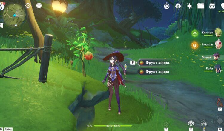 Harra fruit in Genshin Impact – where to find and buy [farming routes]