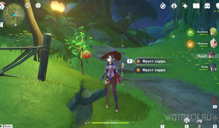 Harra fruit in Genshin Impact – where to find and buy [farming routes]