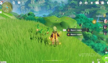 Harra fruit in Genshin Impact – where to find and buy [farming routes]