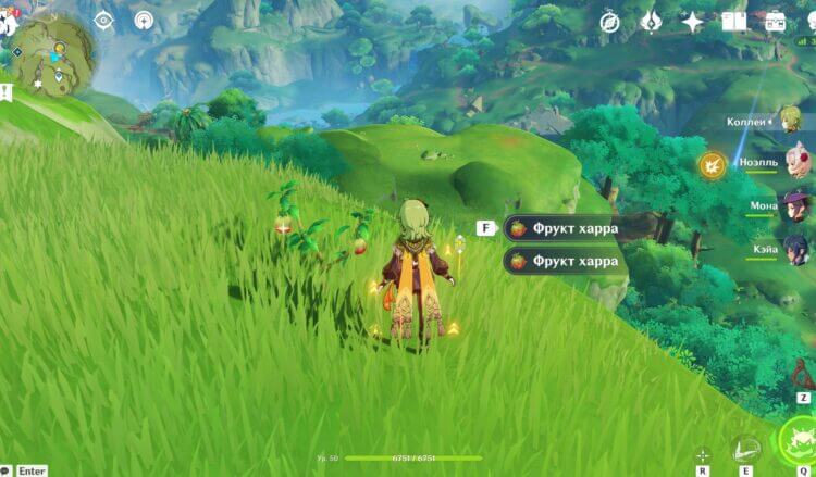 Harra fruit in Genshin Impact – where to find and buy [farming routes]