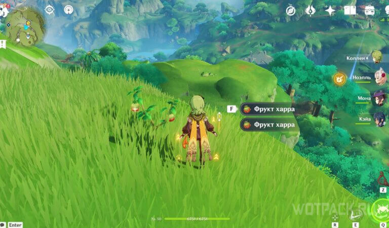 Harra fruit in Genshin Impact – where to find and buy [farming routes]