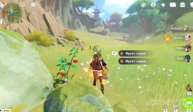 Harra fruit in Genshin Impact – where to find and buy [farming routes]