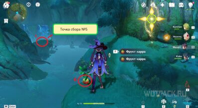 Harra fruit in Genshin Impact – where to find and buy [farming routes]