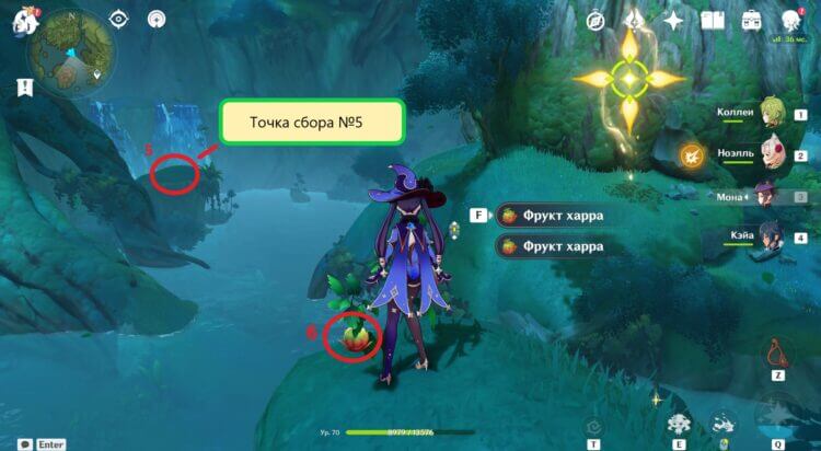 Harra fruit in Genshin Impact – where to find and buy [farming routes]