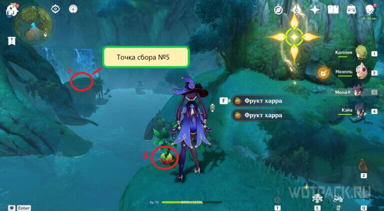 Harra fruit in Genshin Impact – where to find and buy [farming routes]