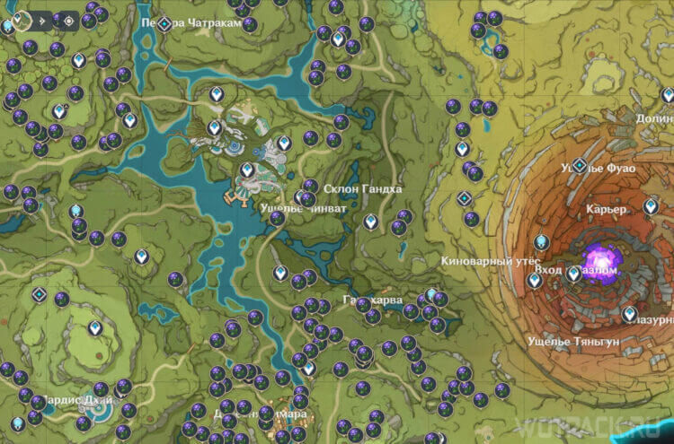 Twilight Rose in Genshin Impact: where to find and buy [farming routes]