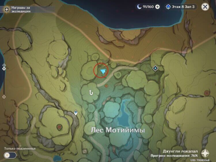 Geography of Sumeru in Genshin Impact: all viewpoints [where to find]
