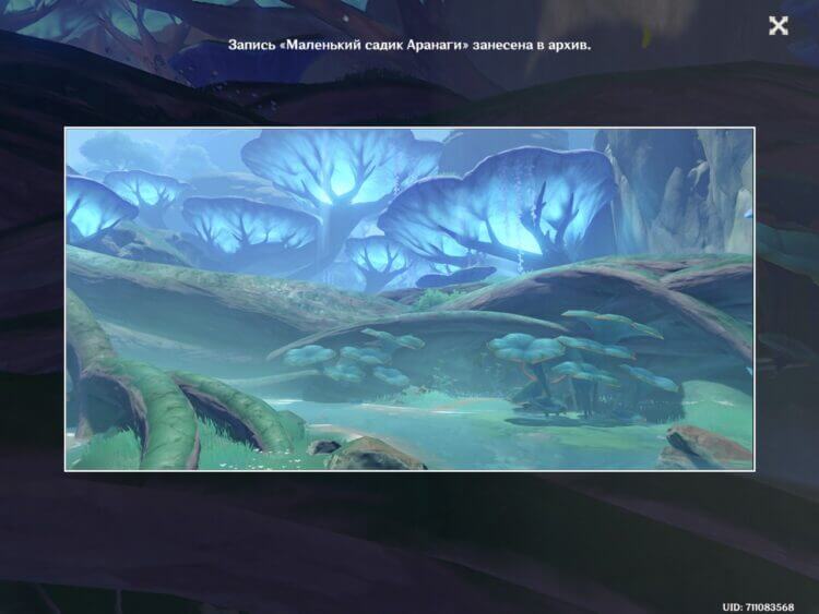 Geography of Sumeru in Genshin Impact: all viewpoints [where to find]