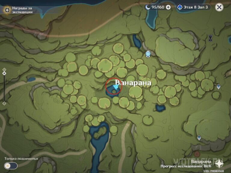 Geography of Sumeru in Genshin Impact: all viewpoints [where to find]