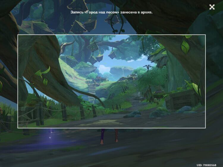 Geography of Sumeru in Genshin Impact: all viewpoints [where to find]