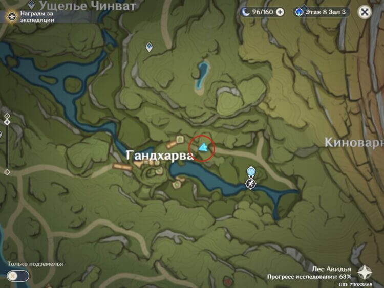 Geography of Sumeru in Genshin Impact: all viewpoints [where to find]